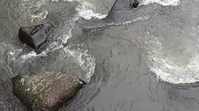 Clear River Water Flowing in the Mountains with Natural Colors. Stock ...