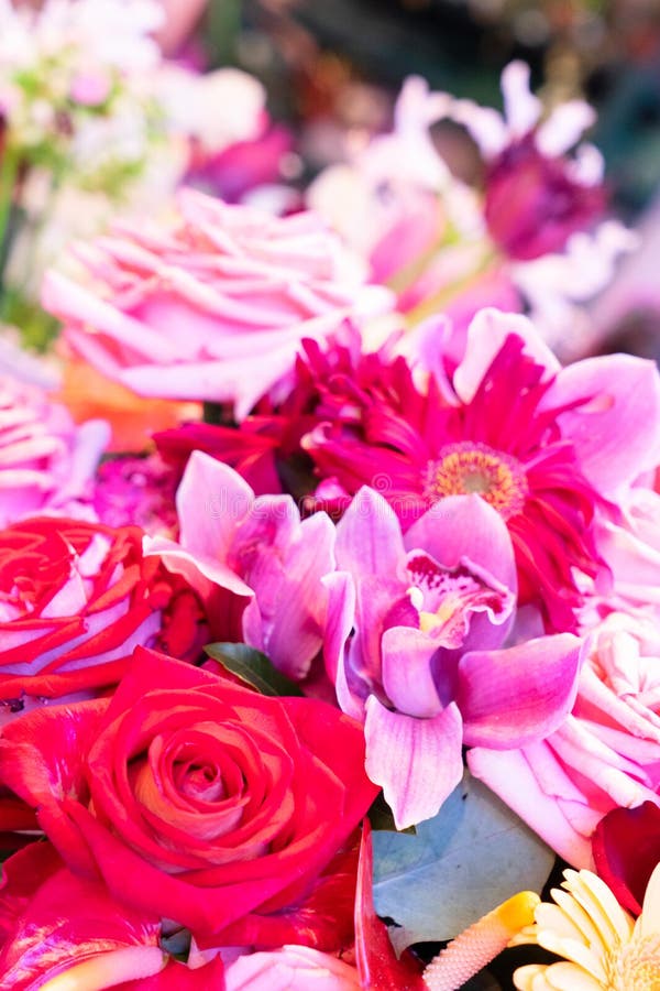 Natural flower background stock photo. Image of macro - 200086502