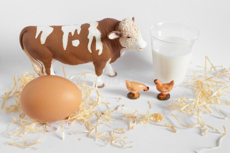 Natural food from the farm stock image. Image of farm - 78204815