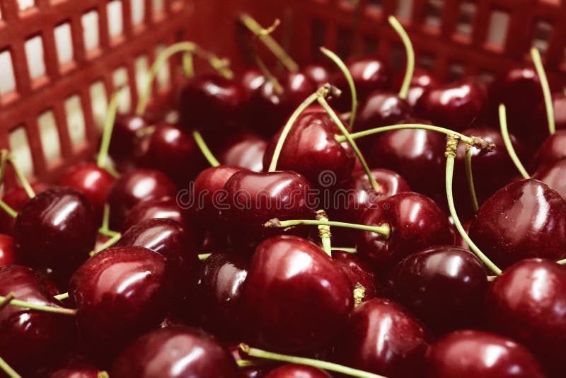 Natural Foods, Cherry, Fruit, Local Food Picture. Image: 118154752