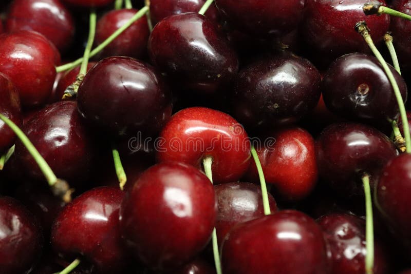 Natural Foods, Cherry, Fruit, Local Food Stock Image - Image of prune ...