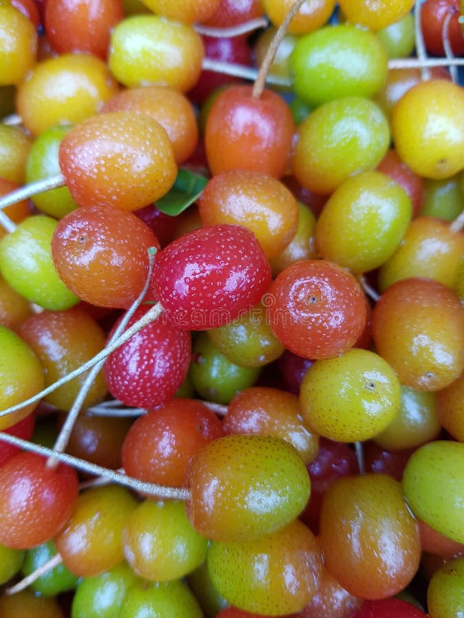 Natural Foods, Fruit, Local Food, Seedless Fruit Stock Image - Image of ...