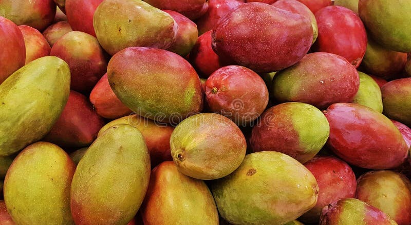 Natural Foods, Fruit, Produce, Food Picture. Image: 108523467