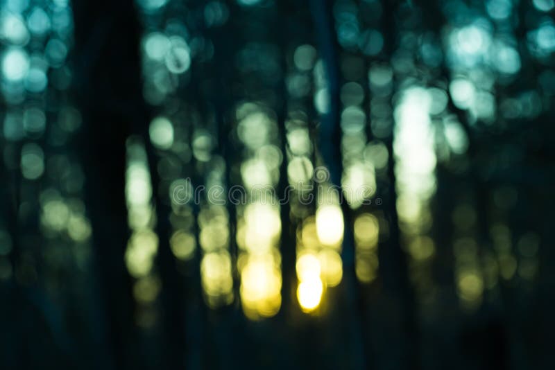 Natural Forest Blurred Background Stock Photo - Image of dark, morning ...
