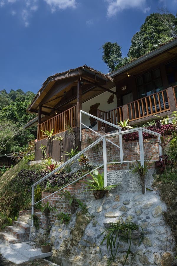 Natural Forest Resort stock image. Image of tropical - 68215085