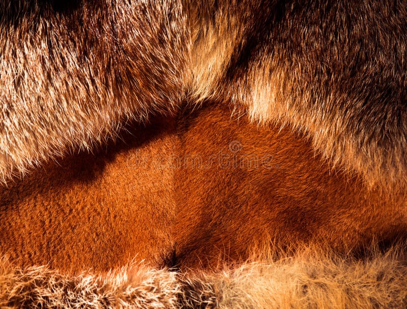 Natural fox fur texture stock photo. Image of skin, textile - 162181716