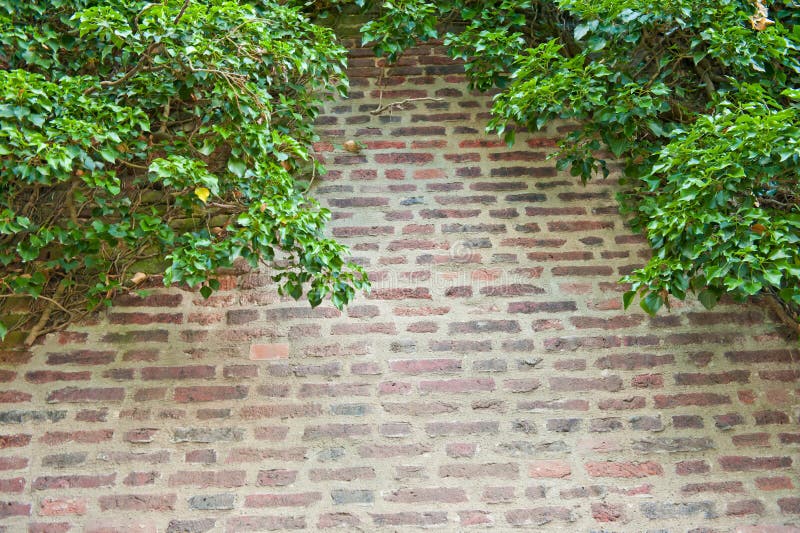 Natural frame stock image. Image of building, house, grunge - 99760077