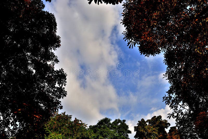 Natural frame in the park stock image. Image of morning - 125631525