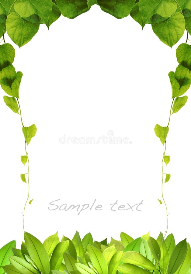 Natural leaves border stock image. Image of green, hang - 24110905