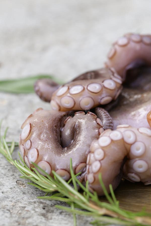 Natural fresh octopus stock image. Image of rustic, seafood - 161374769