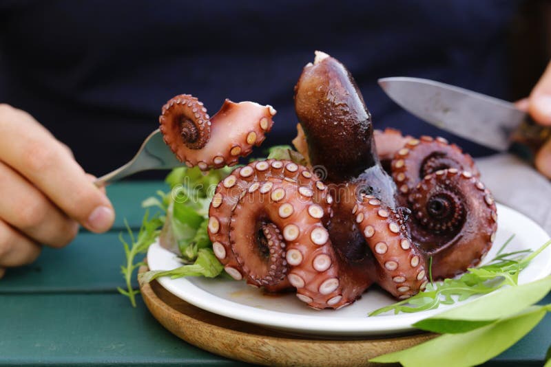 Natural fresh octopus stock image. Image of food, healthy - 162334993