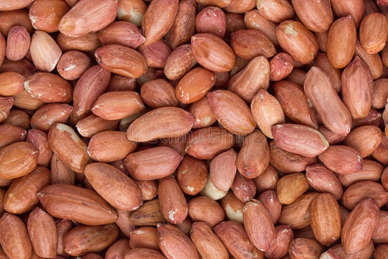 Fresh Raw Peanuts in the Shell Sold at Market Stock Image - Image of ...
