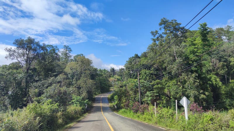 On a Natural Fresh Road Surround by Green Trees Stock Photo - Image of ...