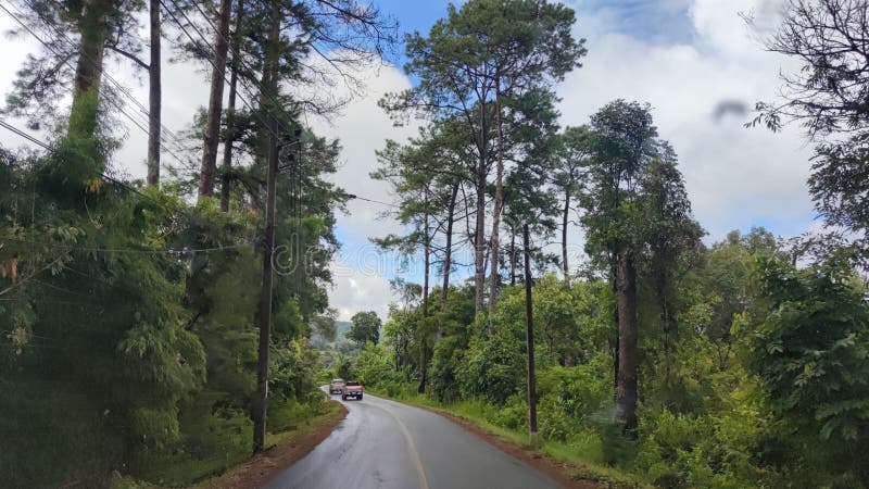 On a Natural Fresh Road Surround by Green Trees Stock Photo - Image of ...