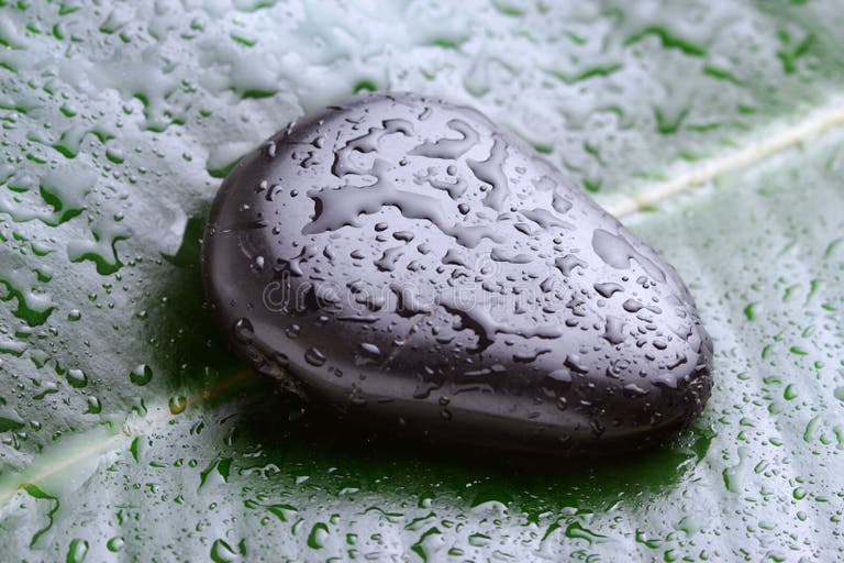 Natural freshness stock image. Image of drops, pampering - 3979411