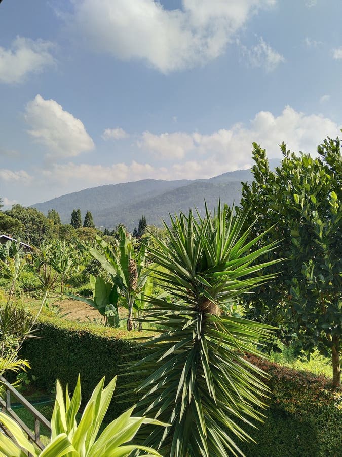 The Natural Freshness of the Mountains Stock Photo - Image of ountains ...