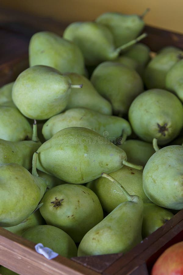 Natural fruit in a market stock image. Image of orange - 110817883