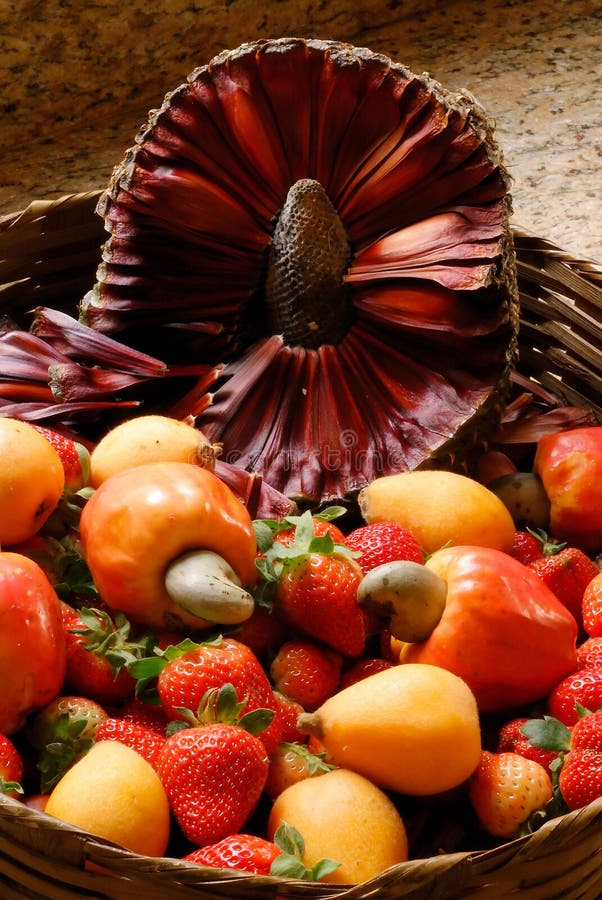 Natural fruits stock photo. Image of nature, fruit, natural - 1057832