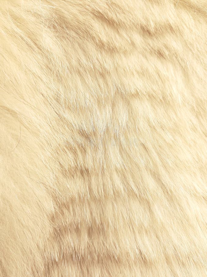 Natural Fur Luxury Texture, Background. Fashion Pattern Modern ...