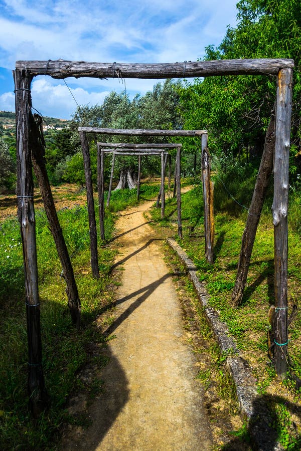 Natural gallery stock photo. Image of green, nature, path - 77252222