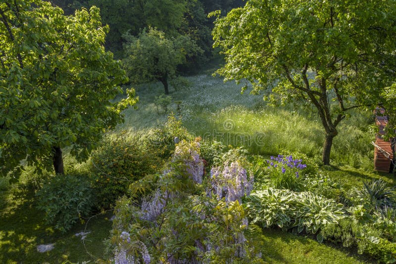 Natural Garden Scenery in Spring Stock Image - Image of wachstum ...