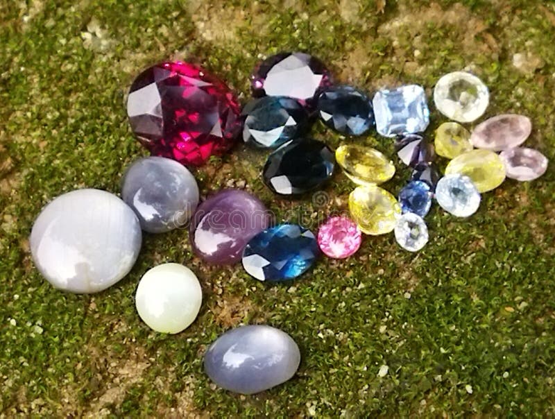 Pricius Stock Photos - Free & Royalty-Free Stock Photos from Dreamstime