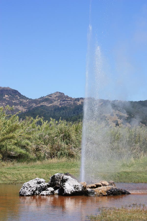 Natural Geyser in California Stock Image - Image of sunshine, travel ...