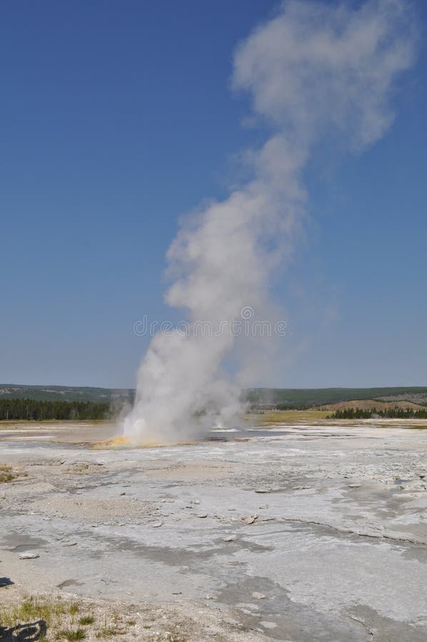 Natural Geyser in Yellowstone Stock Photo - Image of erupt, water: 86067308