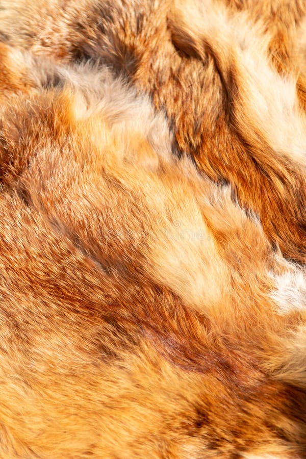 Natural Ginger Material Animal Fur Stock Photo - Image of ginger ...