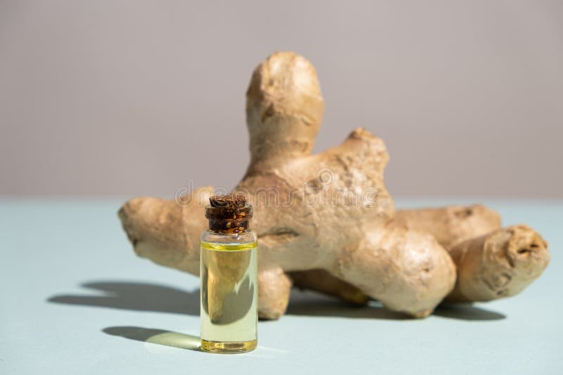 Natural Ginger Oil in Glass Bottle among Ginger Root Stock Image ...