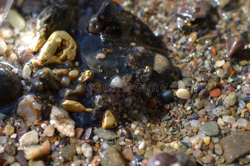 Natural gold stock image. Image of fever, minerals, metal - 53175261