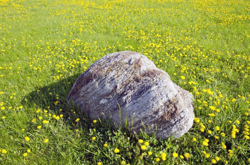 Natural Granite Stone on Spring Meadow Stock Image - Image of season ...