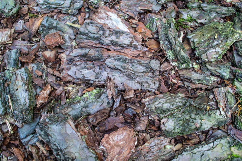 Natural Graphic Backgrounds Stock Image - Image of texture, twig: 140695237