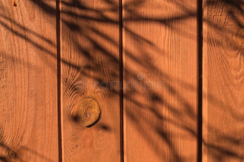 Natural Graphic Backgrounds Stock Image - Image of brown, twig: 166029021