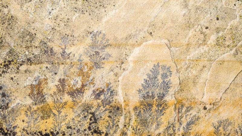 Natural Graphic Patterns in Stones or Rock Slabs Stock Photo - Image of ...