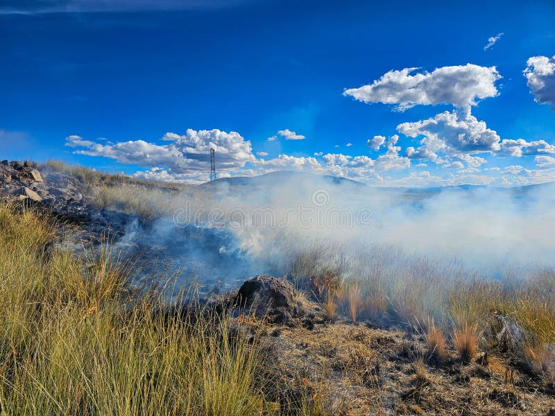 Natural Grass Forest Fire on a Sunny Day Stock Photo - Image of hotspot ...