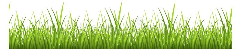 Horizontal grass border stock image. Image of closeup - 11919255