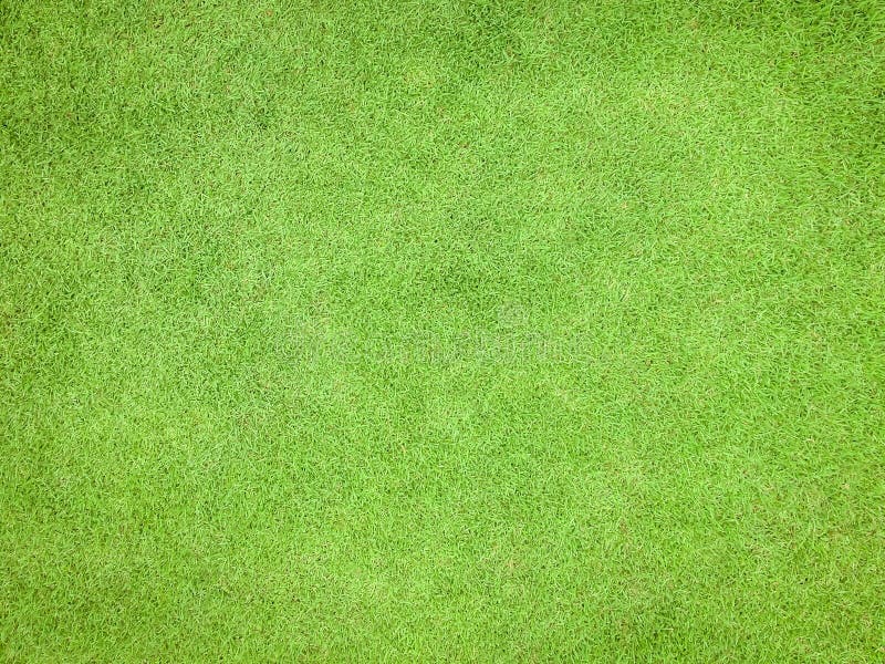 Natural Grass Texture Pattern Background Golf Course Turf Lawn from Top ...
