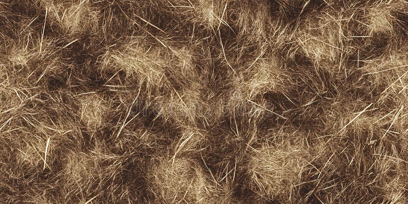 Natural Grass Texture with Seamless Repeat Pattern for Design ...