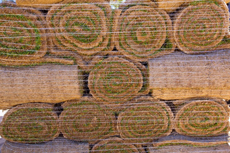 Natural Grass Turf Lawn in Rolls Stacked Stock Photo - Image of ...