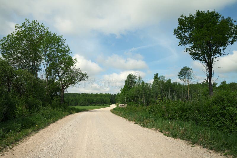 Natural gravel road stock image. Image of forest, dirt - 153811765