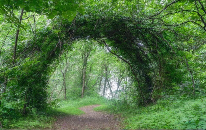 A Natural Green Arch of a Tangle of Trees and Other Plants Stock ...