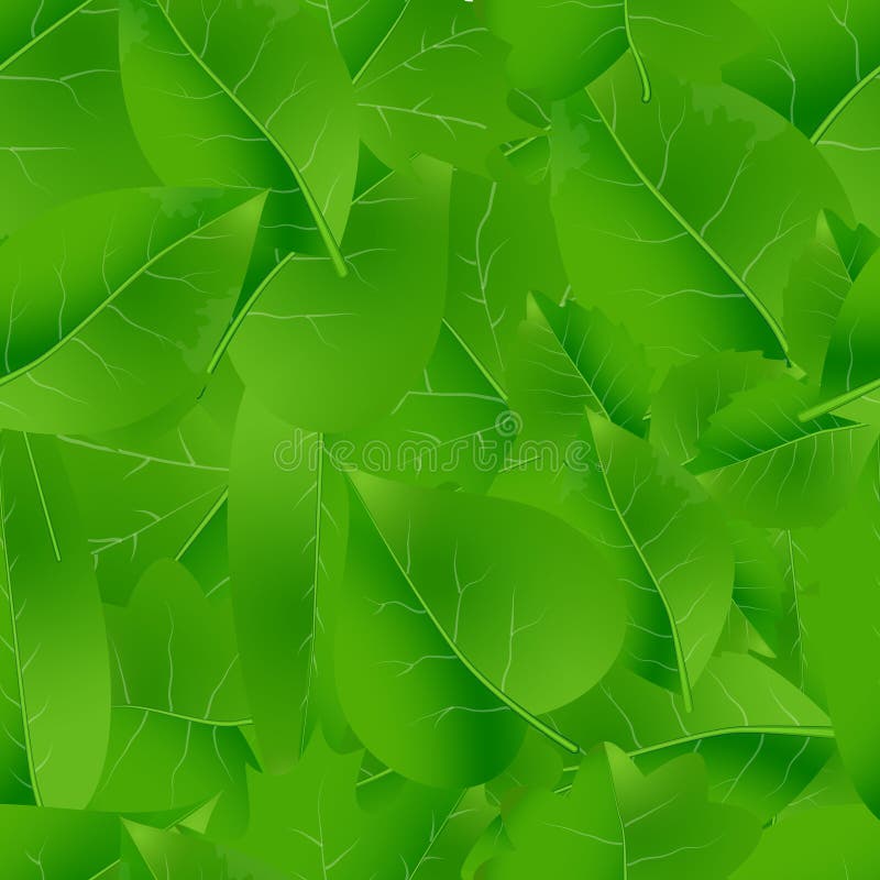 Natural Green Beautiful Leaves Seamless Pattern Eps10 Stock Vector ...