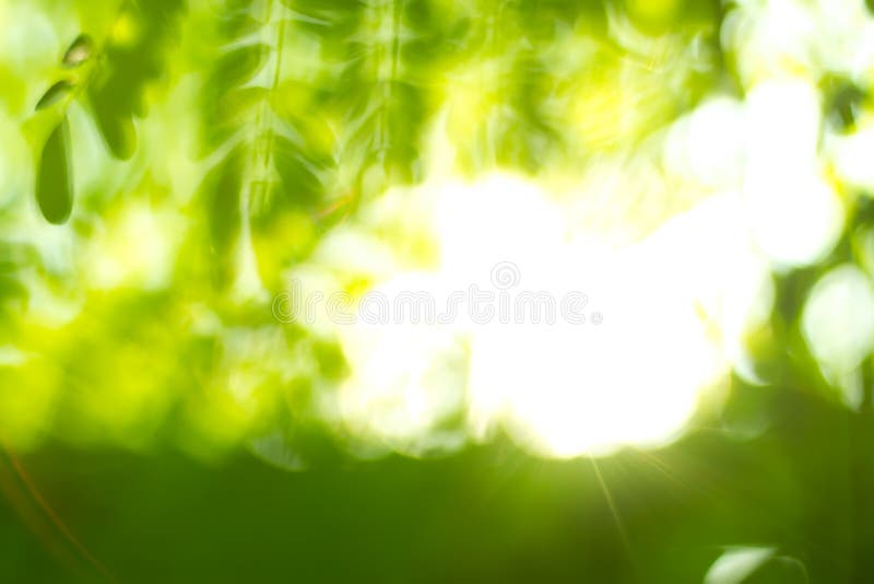 Natural green blur stock image. Image of abstract, nature - 44492873