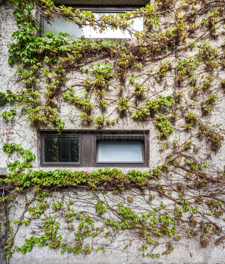 stock photo. Image of background, render, plant, nature - 49463908