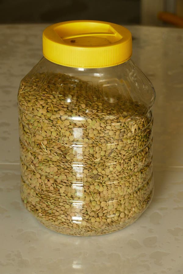 Natural Green Dried Lentils, Table Dried Lentils in a Storage Container ...