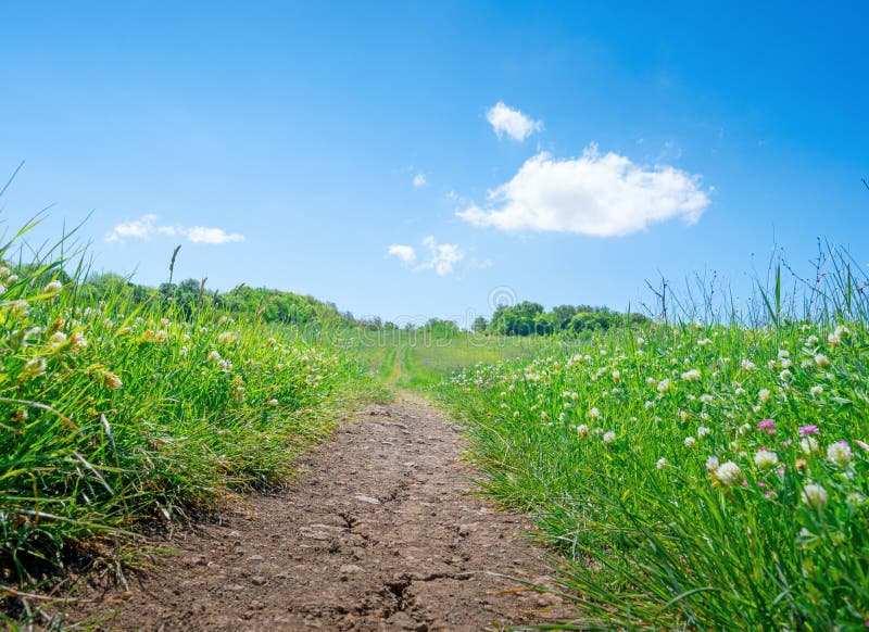 Natural Green Grass Field with Dirt Road Pathway Stock Photo - Image of ...
