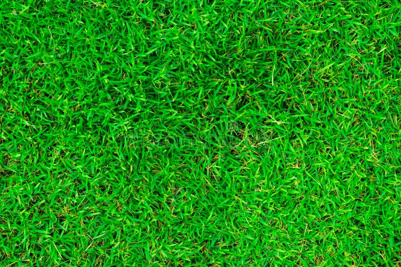 Greengrass Top View