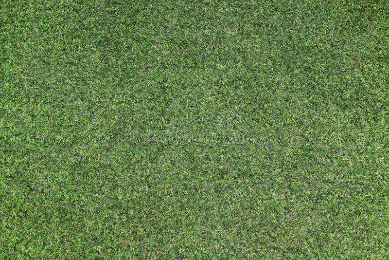 Natural Green Grass Top View Sport Background Texture Concept.surface ...