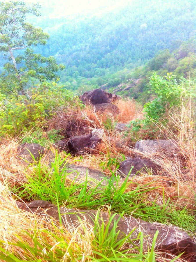 Natural stock image. Image of hill, green, view, natural - 54473541